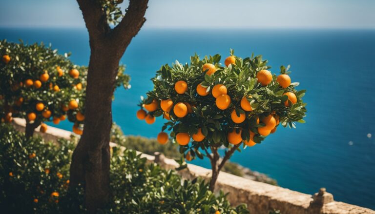 50+ Orange Tree Garden Ideas, Backgrounds, Inspiration (Free, High-Res ...