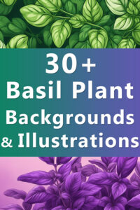 30+ Basil Plant Backgrounds, Wallpapers, Illustrations (Free, High-Res ...